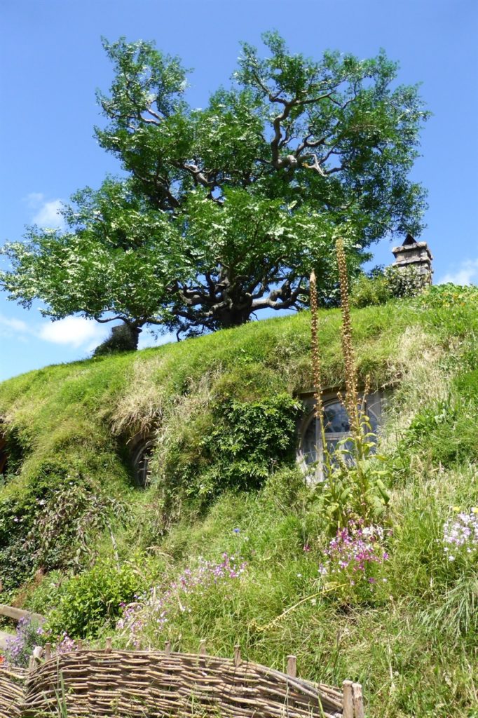 "Do you remember The Shire Mr Frodo?" - Just Me And A Boarding Pass