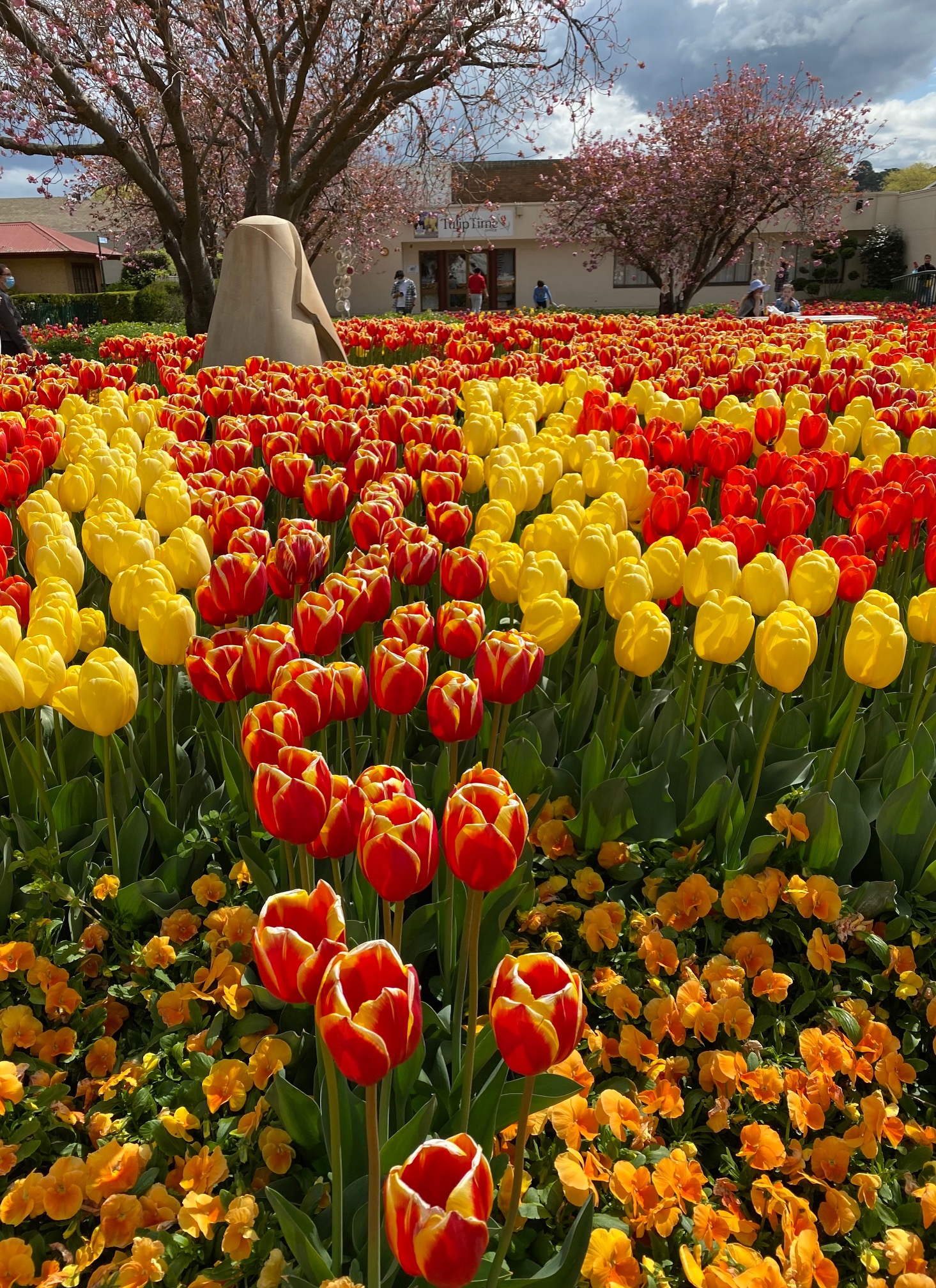 Tulip Time 2021 - Just Me And A Boarding Pass