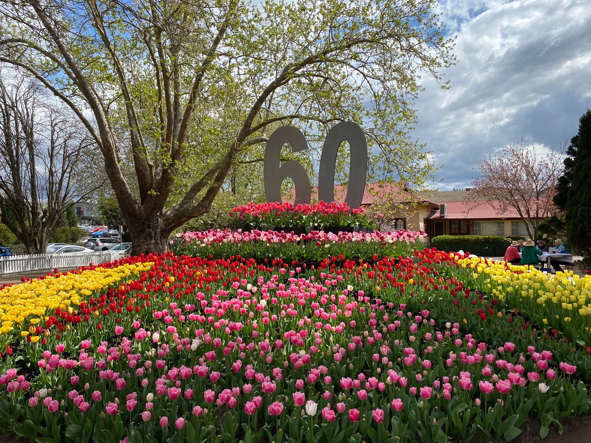 Tulip Time 2021 - Just Me And A Boarding Pass